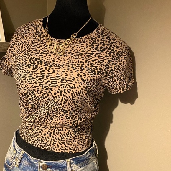LOFT | Tops | Sz S Animal Print Crop Top By Loft Euc | Poshmark